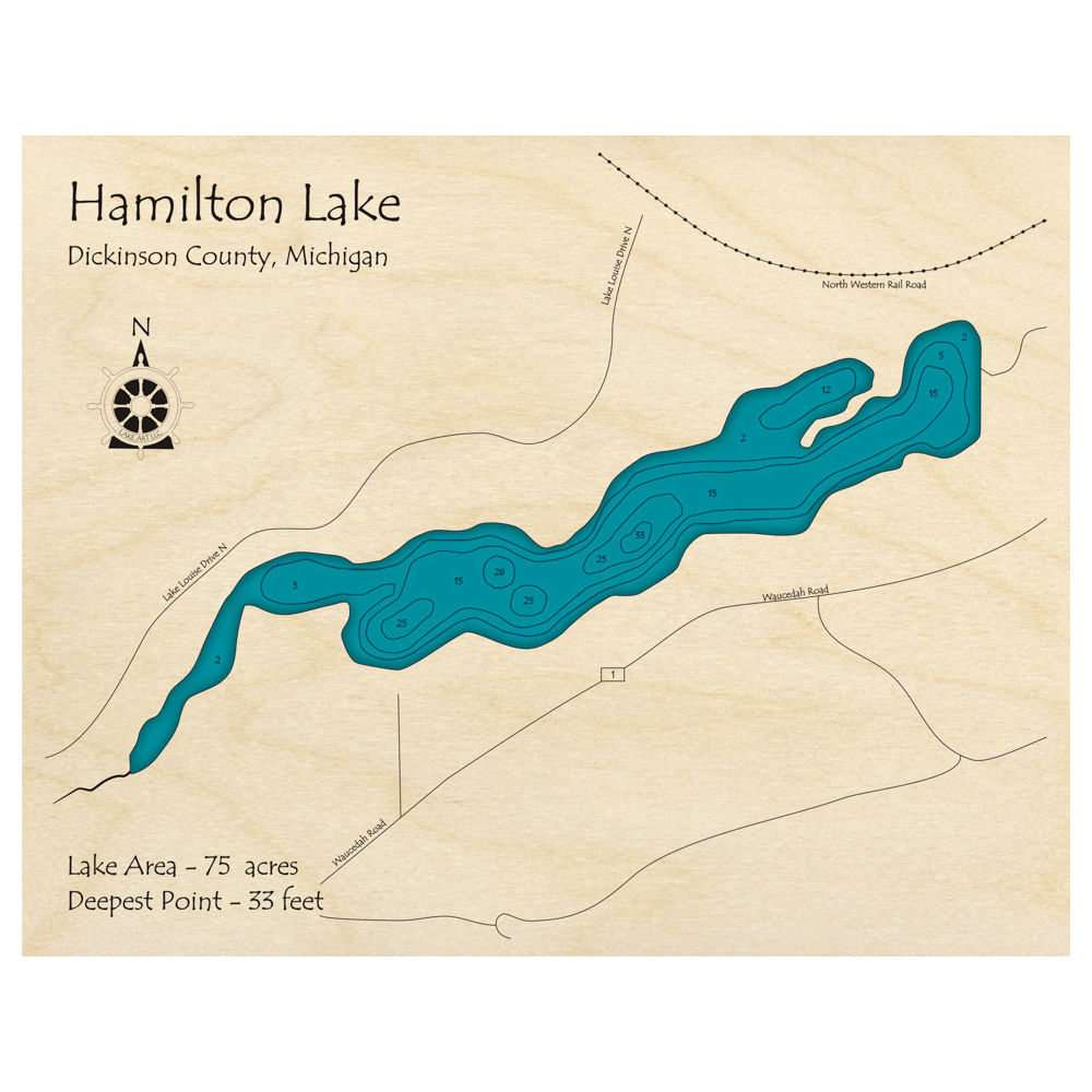 Hamilton Lake, Michigan 3D Custom Wood Map – Lake Art LLC
