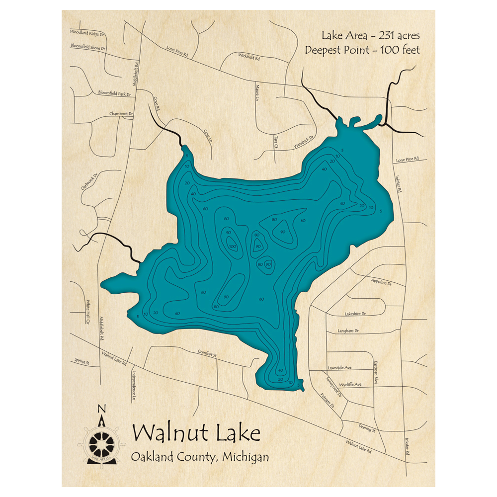 Walnut Lake, Michigan 3D Custom Wood Map – Lake Art LLC