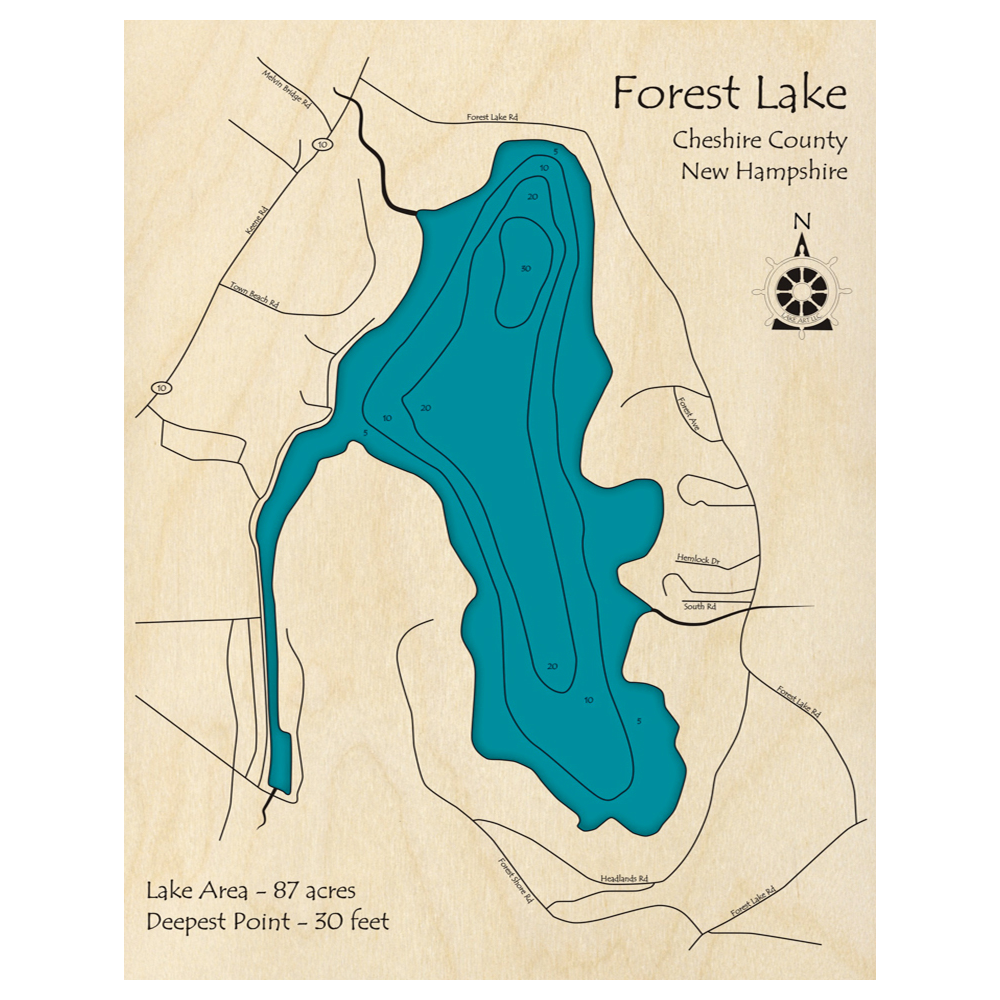 Forest Lake, New Hampshire 3D Custom Wood Map – Lake Art LLC