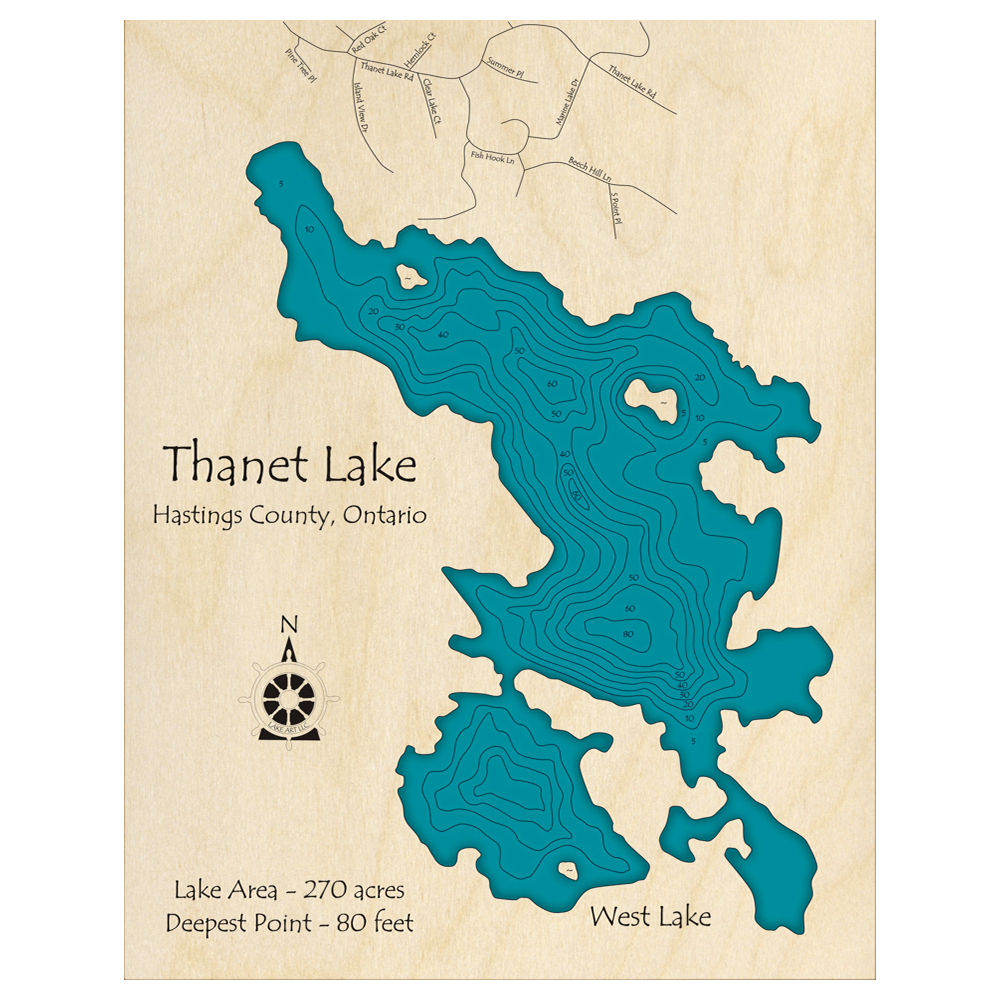 Thanet Lake, Ontario 3D Custom Wood Map – Lake Art LLC